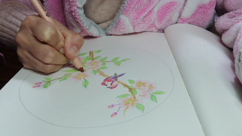 亲子彩铅画:在家带孩子画樱花和小鸟