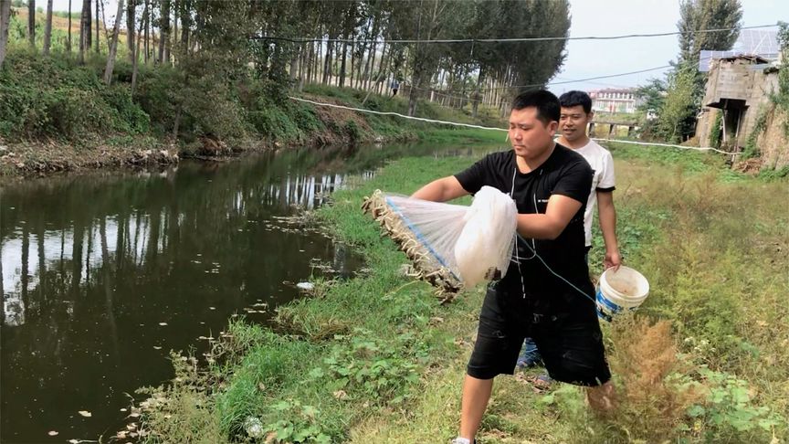 当一群新手买了一个飞盘撒网捕鱼,这结果比较尴尬