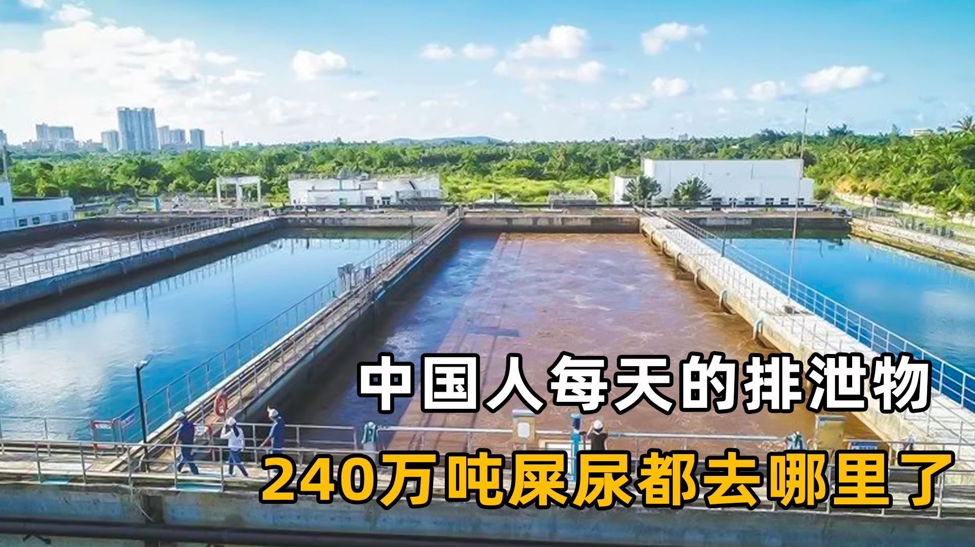 中国人每天产生约240万吨粪便,最后流到哪里了?该如何处理?
