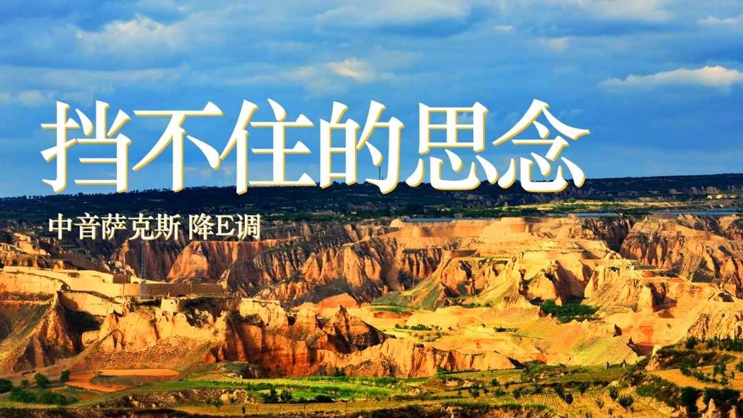 萨克斯演奏《挡不住的思念》,新派陕北民谣,婉转动听别具韵味!