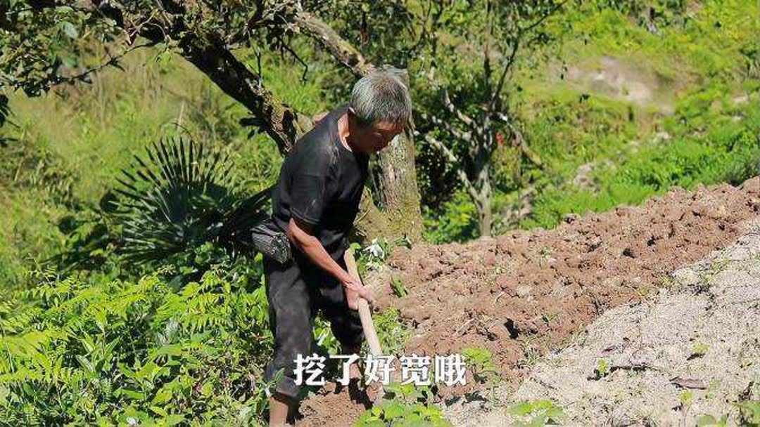 不是所有辛勤播种都有丰富收获,生活也是如此