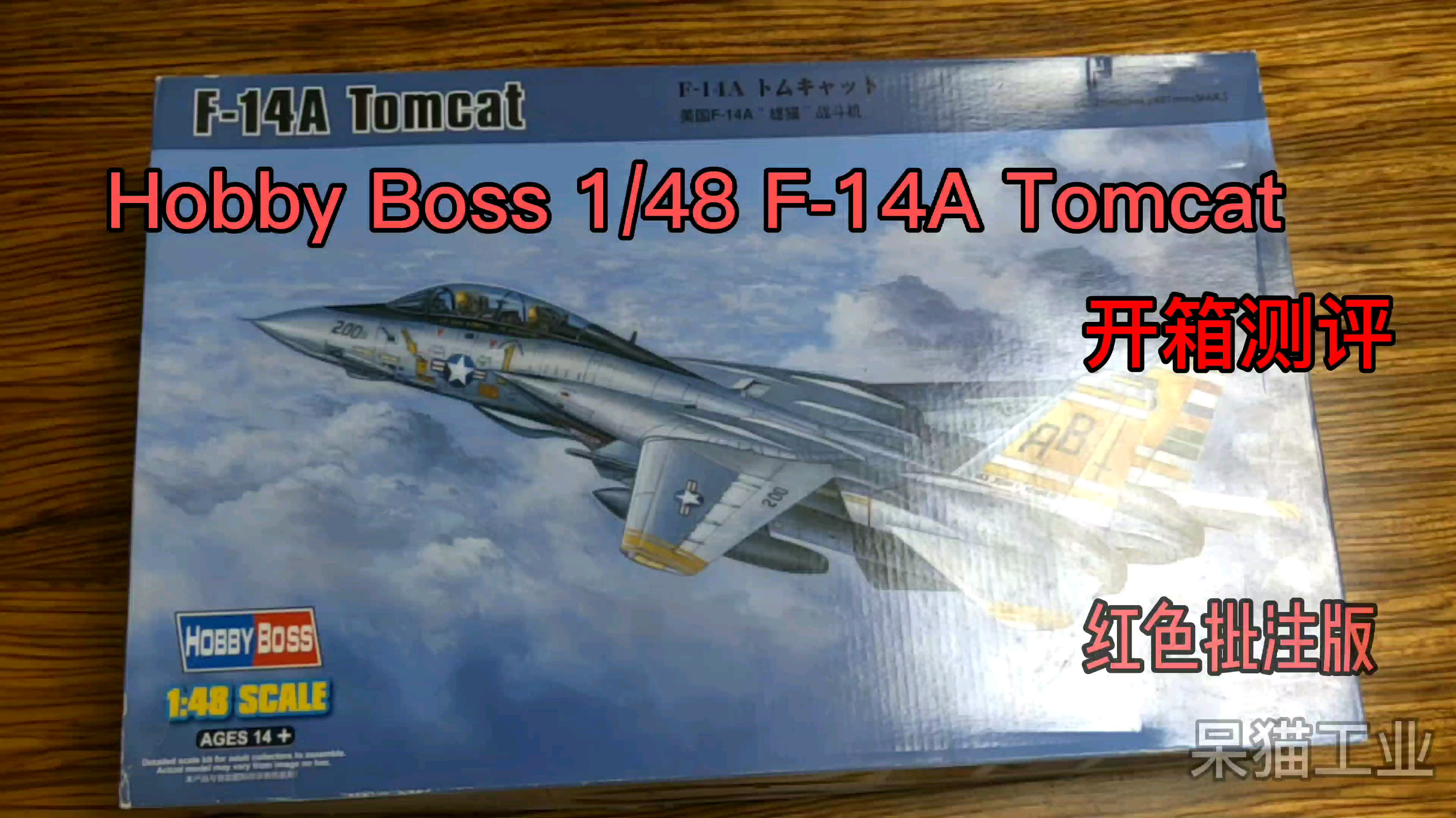 【模型测评】小号手Hobby Boss 1/48 F-14 A"熊猫"【呆猫工业】