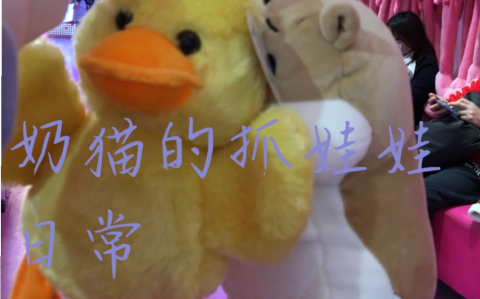 【奶猫的抓娃娃日常】来自超垃圾的奶猫,敲可爱的仓鼠和兔兔的抓...