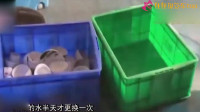 揭秘消毒餐具厂“ 恶心”消毒全过程,你还敢出去吃饭吗?