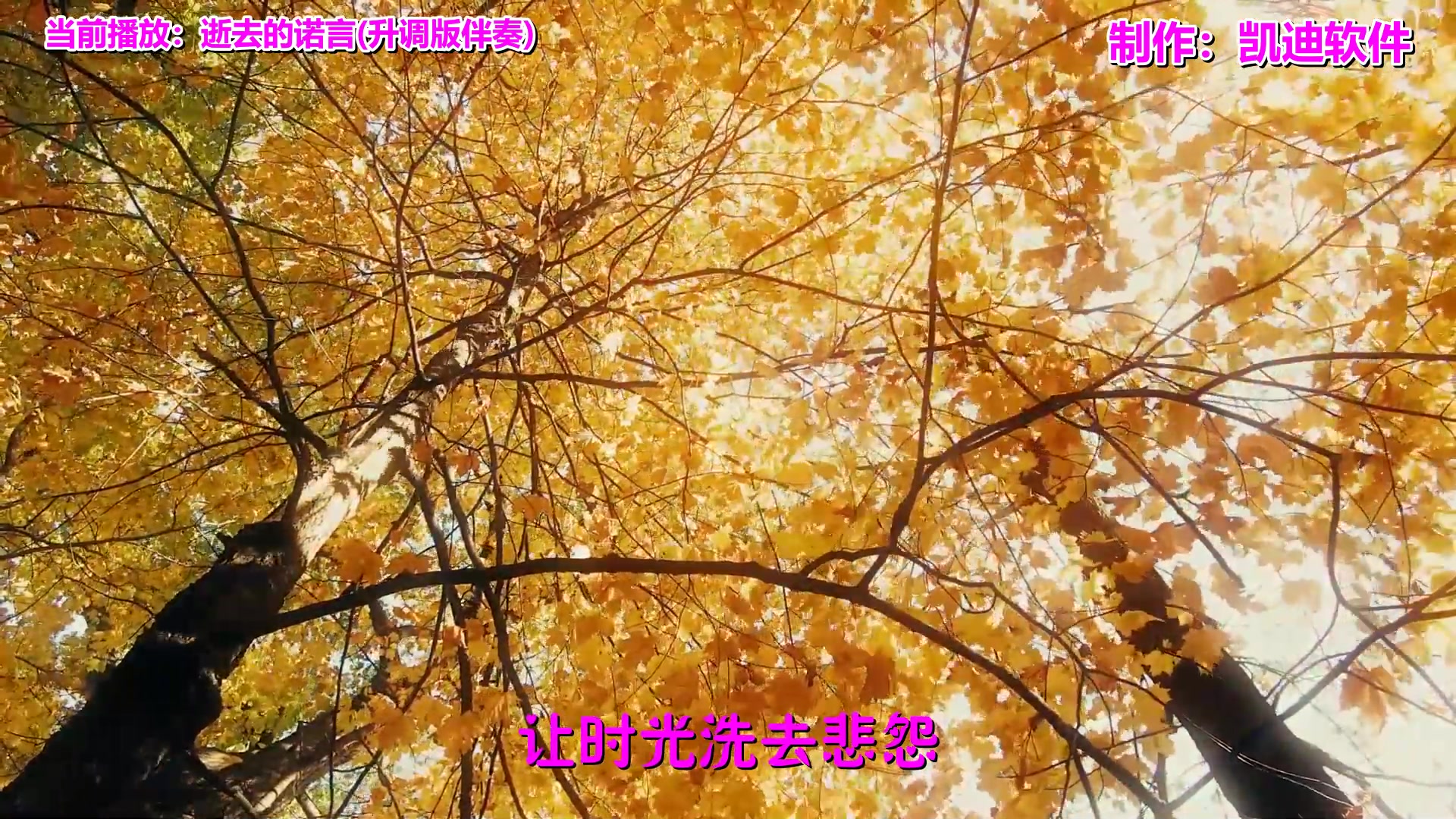 《逝去的诺言(升调版伴奏)》经典老歌,手机相册mv制作软件破解