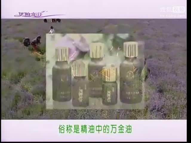 纯天然薰衣草精油_薰衣草精油怎么用_薰衣草精油用法_ 纯天然薰衣草...