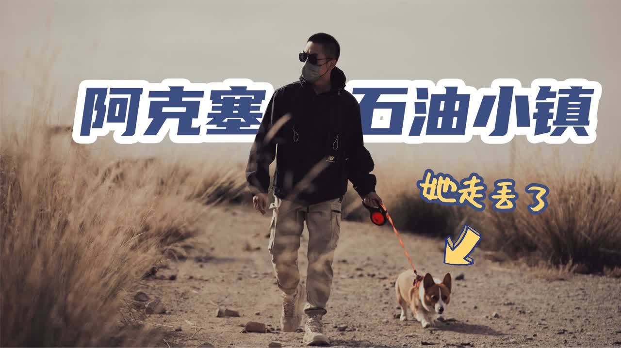 房车旅行来到了神秘的阿克塞石油小镇,我居然把狗狗弄丢了?!