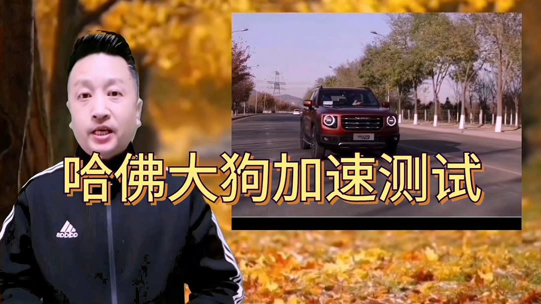 哈佛大狗加速测试合格