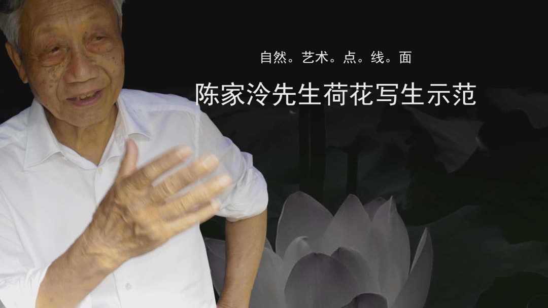 陈家泠先生上海虹口公园荷花写生示范 上集2之1