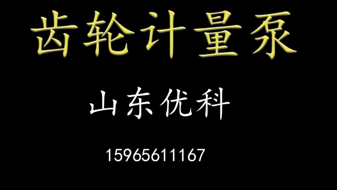 齿轮计量泵-山东优科精流机械有限公司