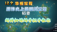【原神】保姆式超详细教你拿原神稻妻的华丽宝箱跟阴间宝箱