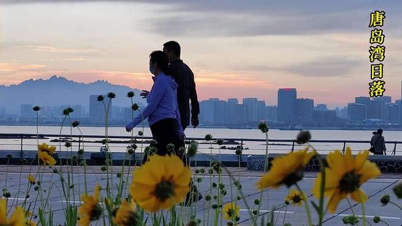 ...的地方呢?看完视频,快快制定的青岛旅游计划吧 #青岛旅游攻略 #青岛