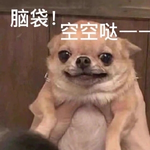粥寒同学想当大哥o 