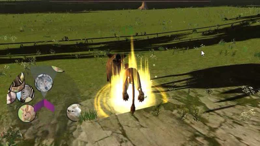 模拟动物人生 纳尼?小狐狸竟然敢撩狮子?