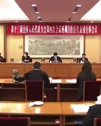 【赵克志参加西藏代表团审议】全国人大代表、国务委员、公安部部长...
