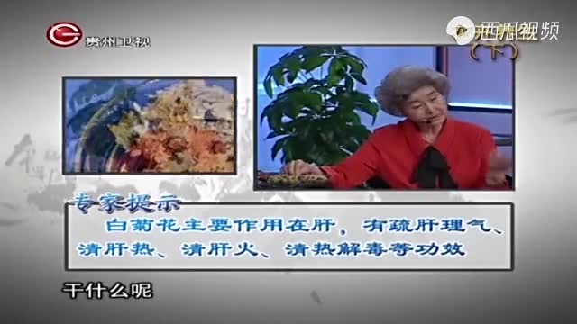 天天健康:菊花种类多保健各有不同作用,来听专家给你细讲