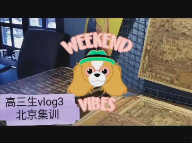 [高中生vlog2]艺考集训在北京 | 北京798 | 南锣鼓巷