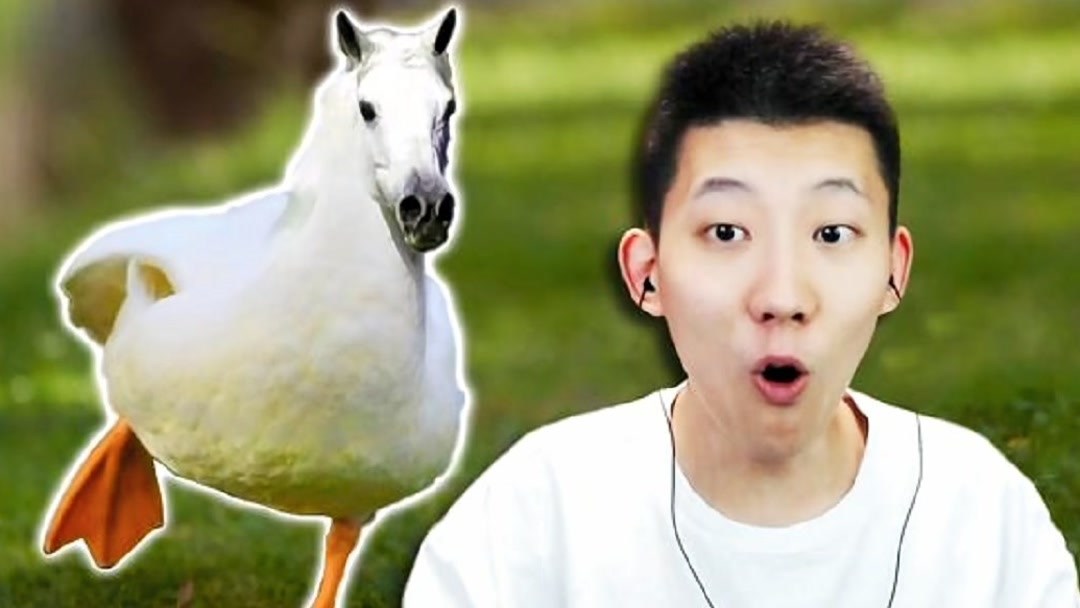 鲤鱼Ace解说:动物融合模拟器,螃蟹和鹅会变成什么?