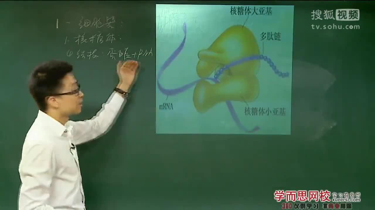 高一生物必修1细胞的结构与功能_人教版高中生物讲课视频