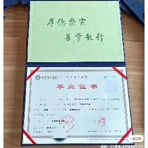 成人学历提升蒋老师 