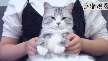 猫咪最讨厌主人的行为! 最后一个做过这么多次