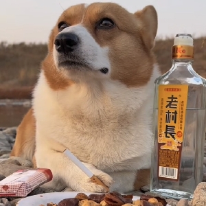 末影的枯燥生活 