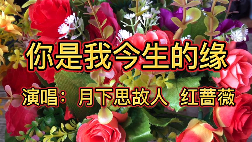 《你是我今生的缘》滚滚红尘和你共度缠绵,朝朝暮暮与你心手相牵