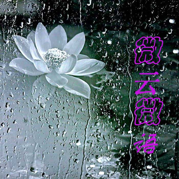 微云微语 