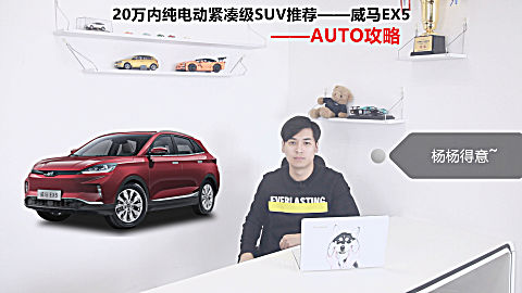 20万内纯电动紧凑级SUV推荐——威马EX5
