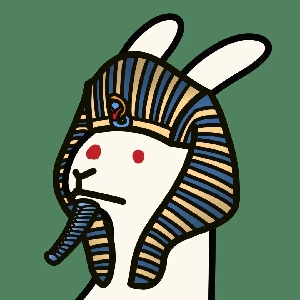 一只埃及兔 