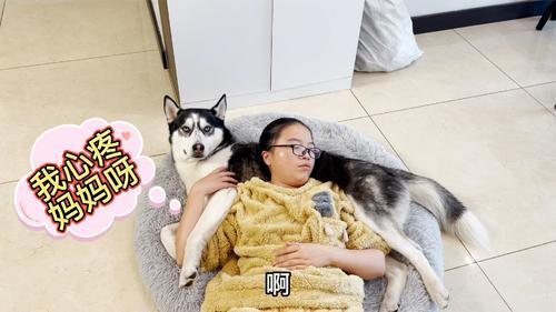 狗狗虽然不会说话,但默默地守护生病的主人真的很贴心,感动哭了