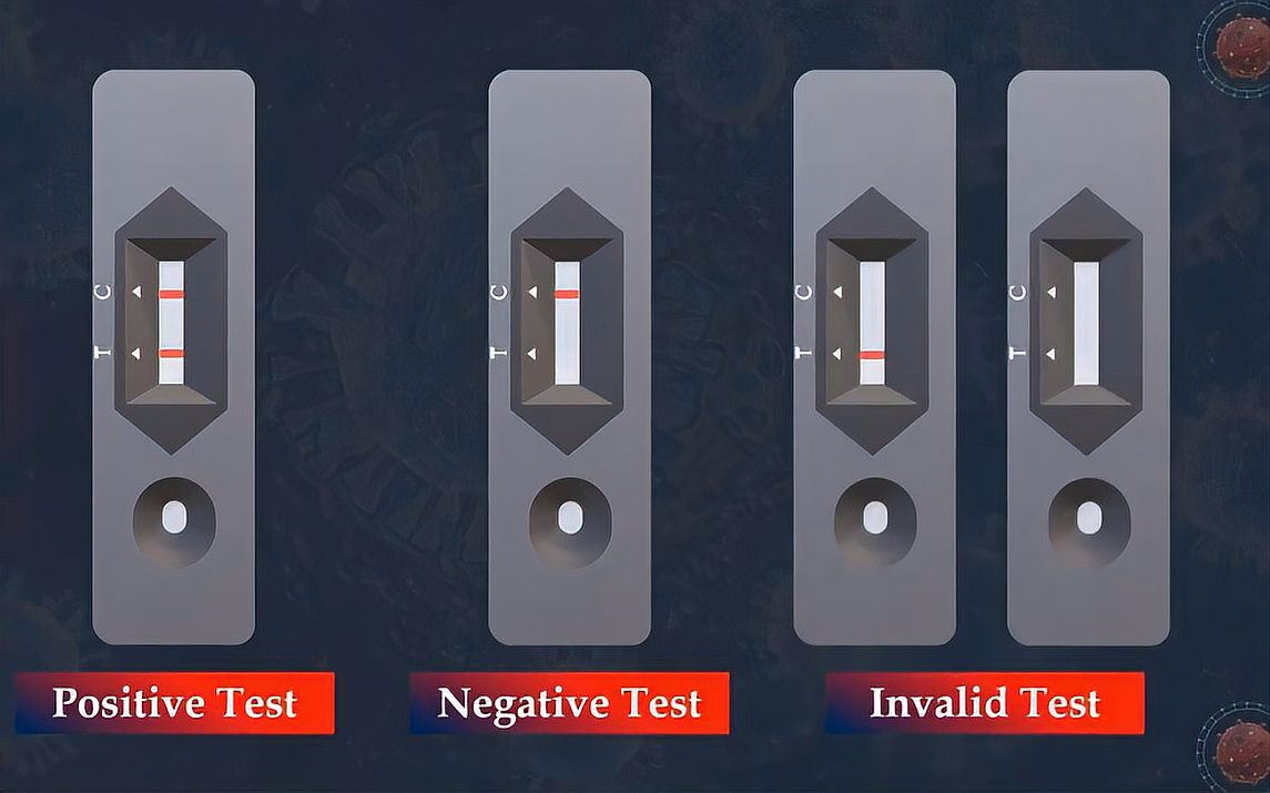 新冠快速抗原试剂-使用说明