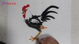 国画公鸡教程,全程讲解,一步一步教你画公鸡,祝大家大吉大利