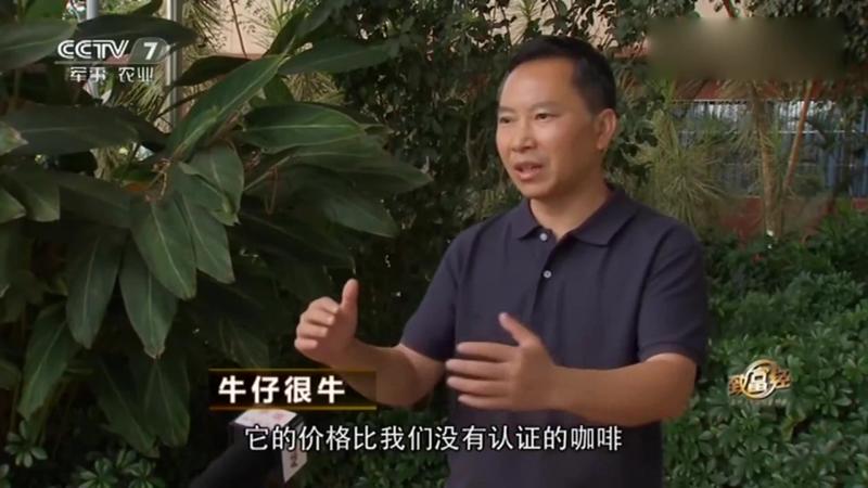 他拥有独特方法,造就人工生态雨林种咖啡,生意扩张令人惊叹!