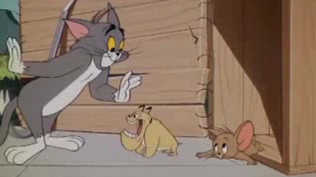 猫和老鼠之宠物狗篇 #猫和老鼠