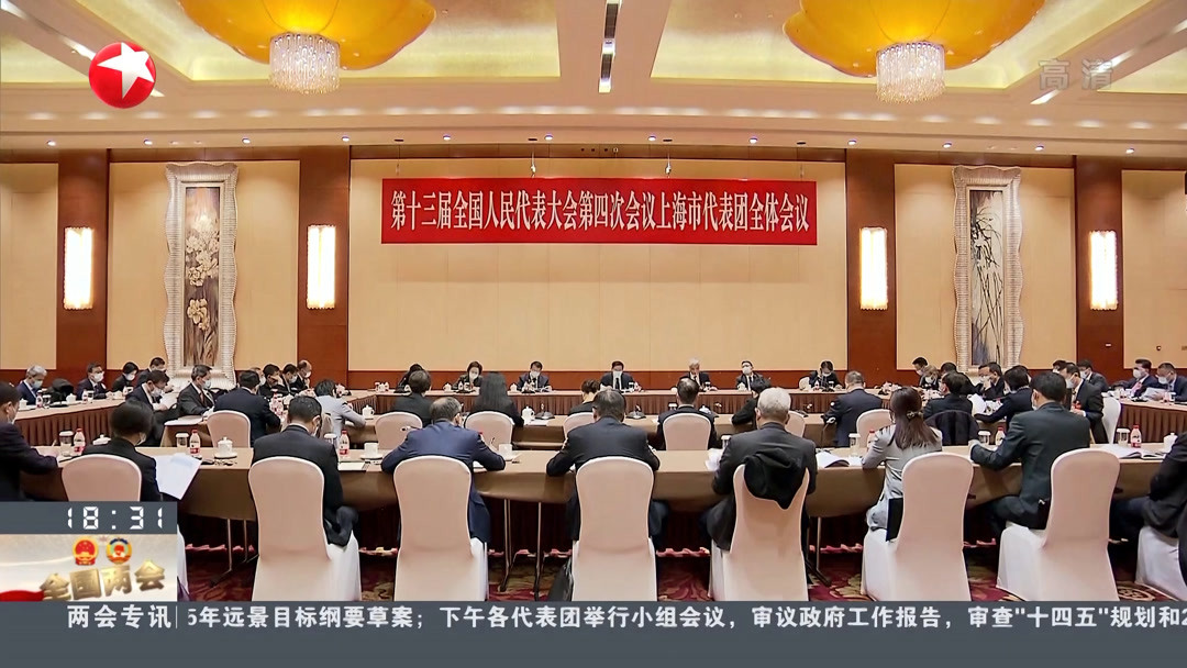 上海代表团 举行全体会议和小组会议 审查"十四五"规划纲要草案
