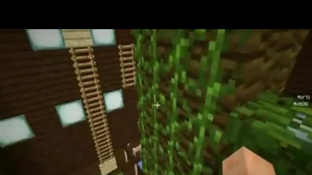 ★我的世界★Minecraft《籽岷的1.8多人跑酷 五彩缤纷?