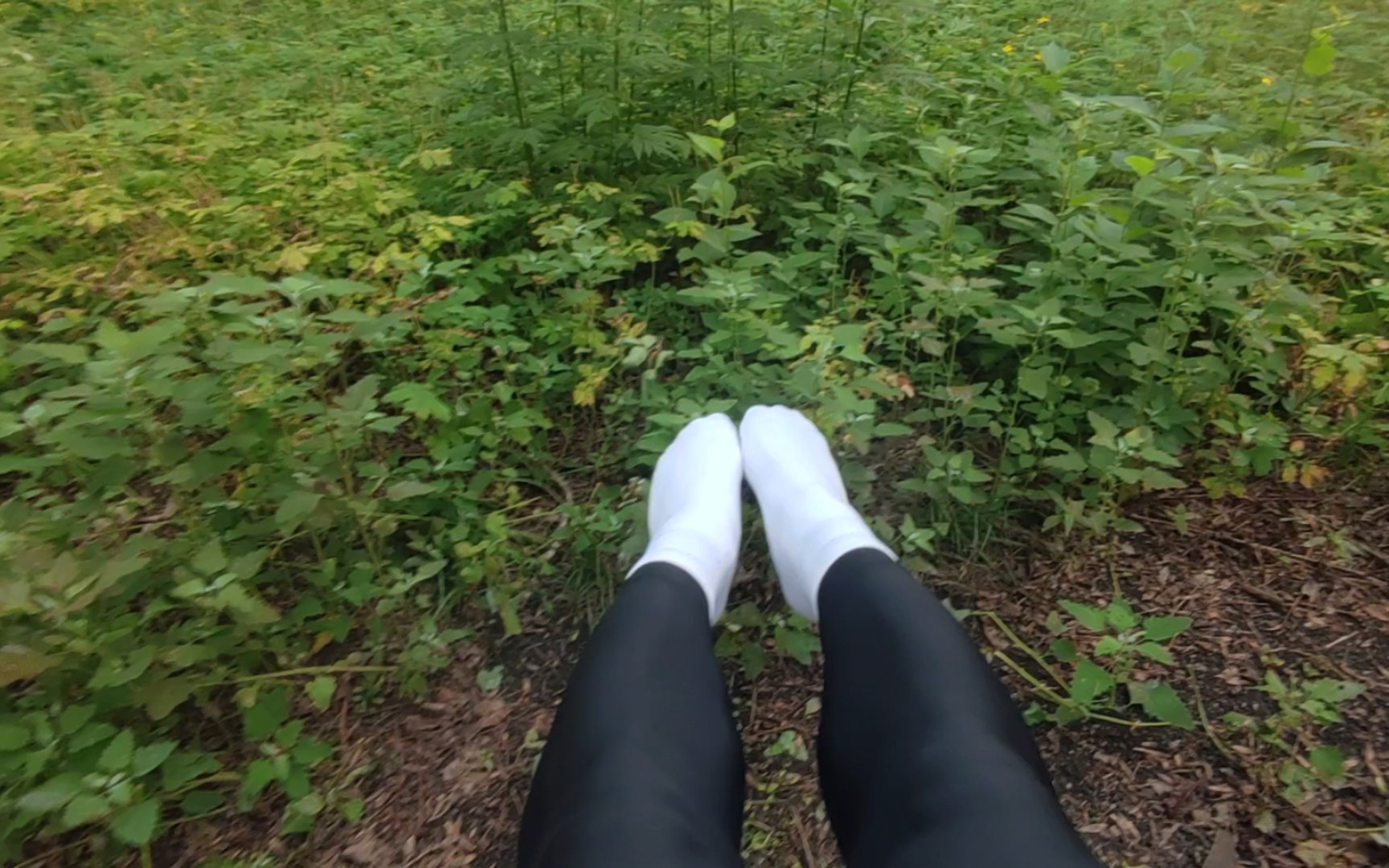 在森林中运动时,始终保持警惕并注意个人安全是至关重要的。