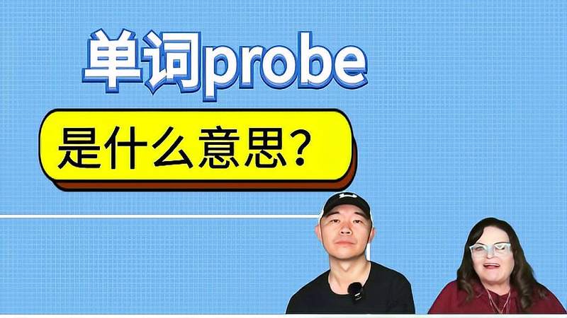 probe是什么意思