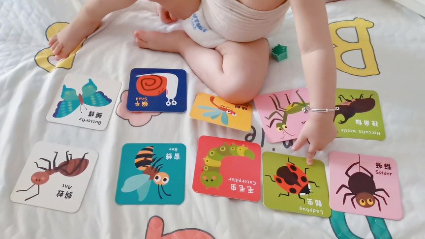 #宝宝认识动物 #宝宝成长记