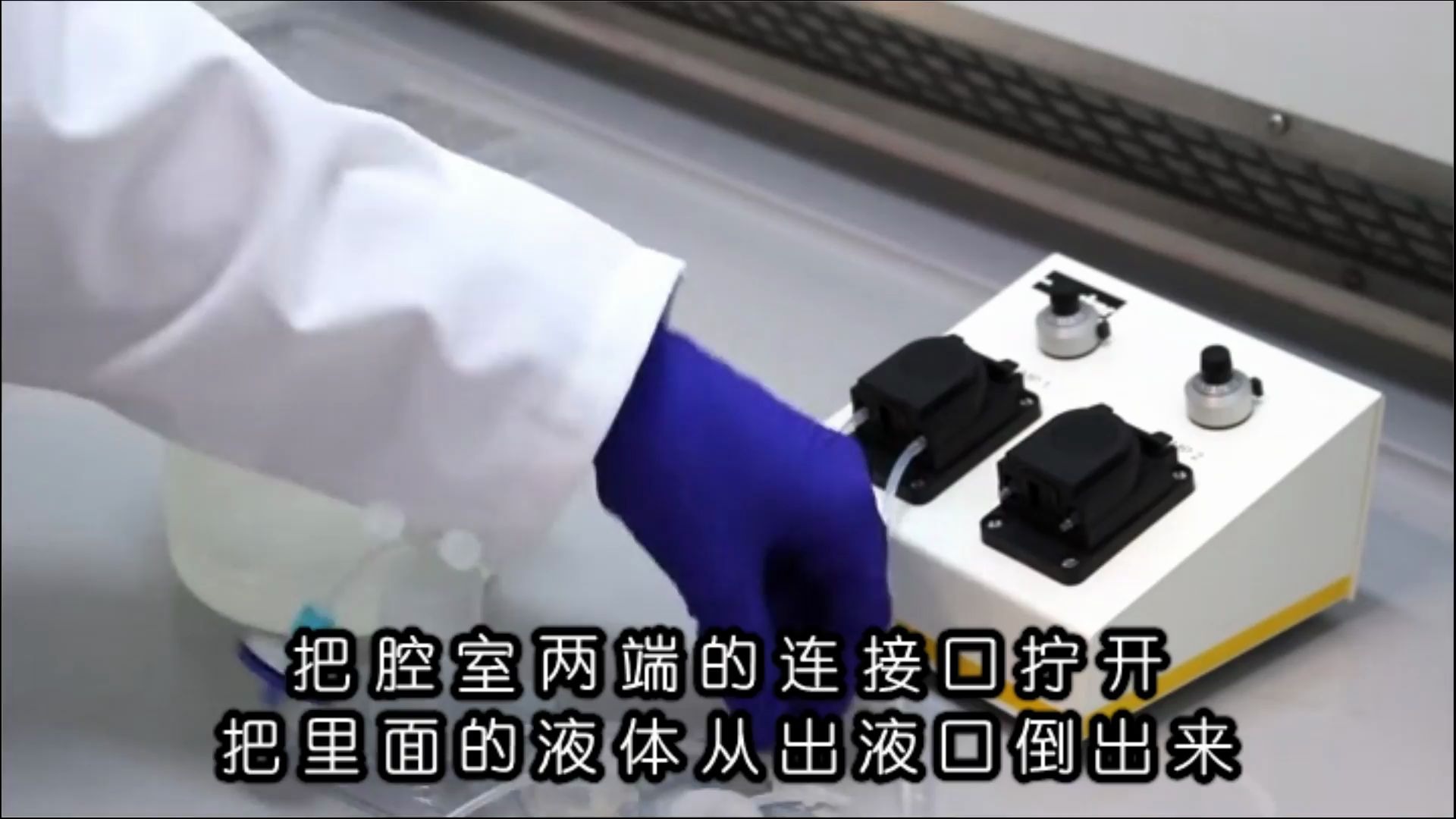 Quasi Vivo细胞流动培养促进细胞发育和分化_实验指导