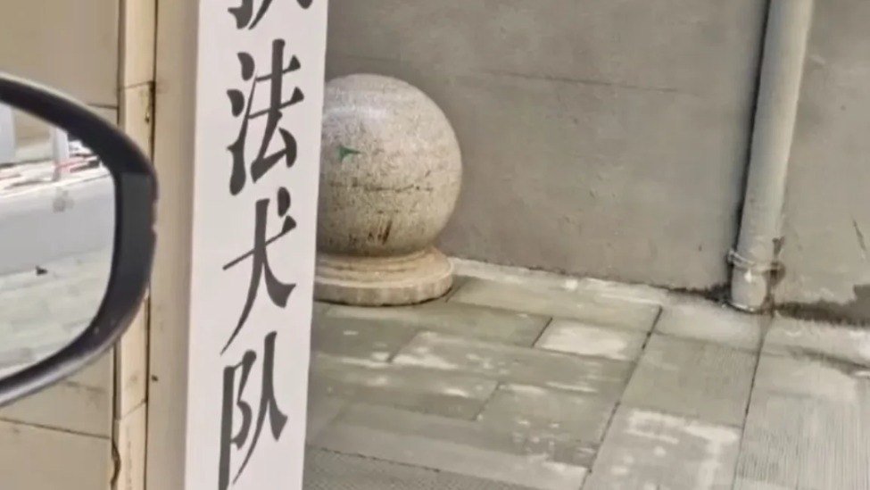 执法大队变“执法犬队”,警方锁定涉事人员