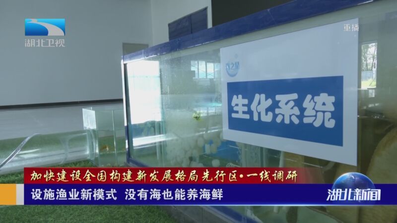 [湖北新闻]加快建设全国构建新发展格局先行区·一线调研 设施渔业新...
