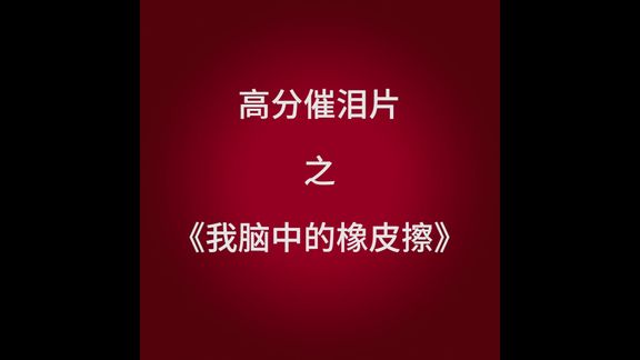 那些让人忍不住落泪的感人电影《我脑中的橡皮擦》