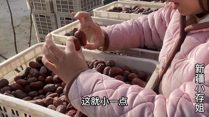 新疆和田大枣各等级,打包发货中,看看发货量如何