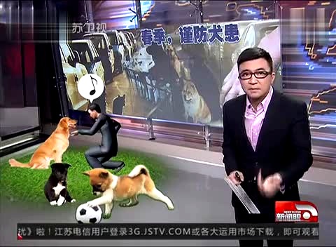 春季,谨防犬患:藏獒发狂伤人 特警开枪击毙[新闻眼]
