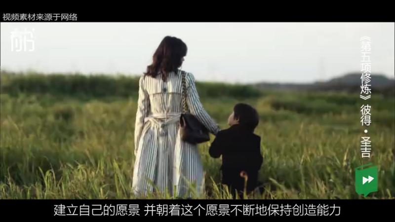 5分钟看《第五项修炼》一本让成功经历老板赞不绝口的管理学巨著