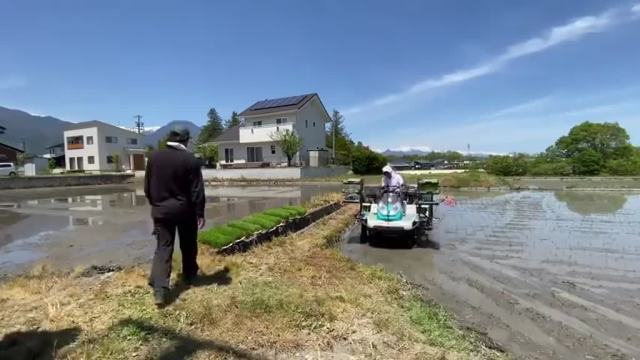 日本人发明插秧机,中国人发明抛秧,到底那种方式种植水稻更好?