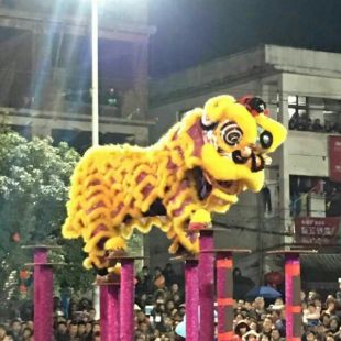 佛山禅南龙狮 