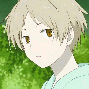 疯狂的诺亚 